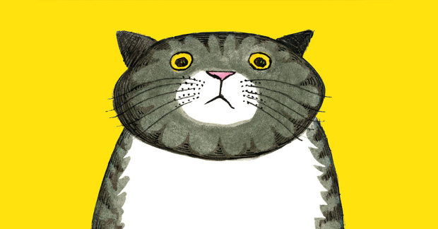Hit children's book Mog The Forgetful Cat to be adapted for the stage