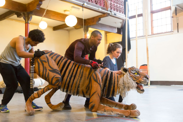 First look: Open Air Theatre's Running Wild
