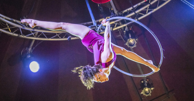 Top 10 circus shows to see this summer