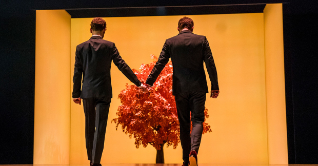 5 reasons to be very excited about The Inheritance in the West End