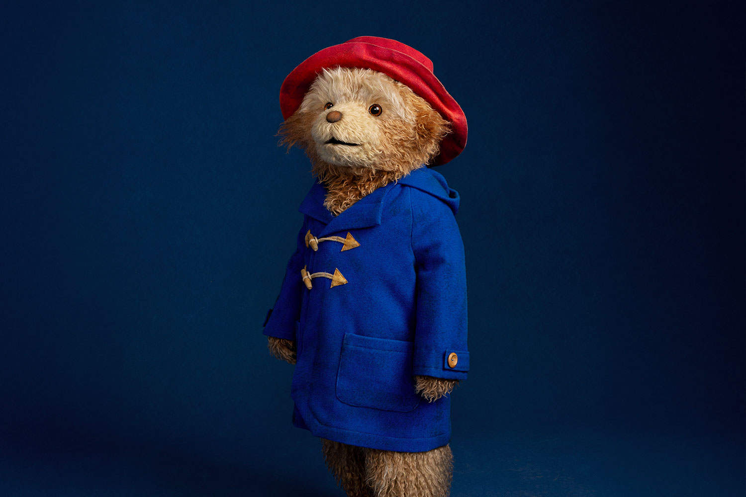 Paddington Bear casting and musical creative team announced – with ...