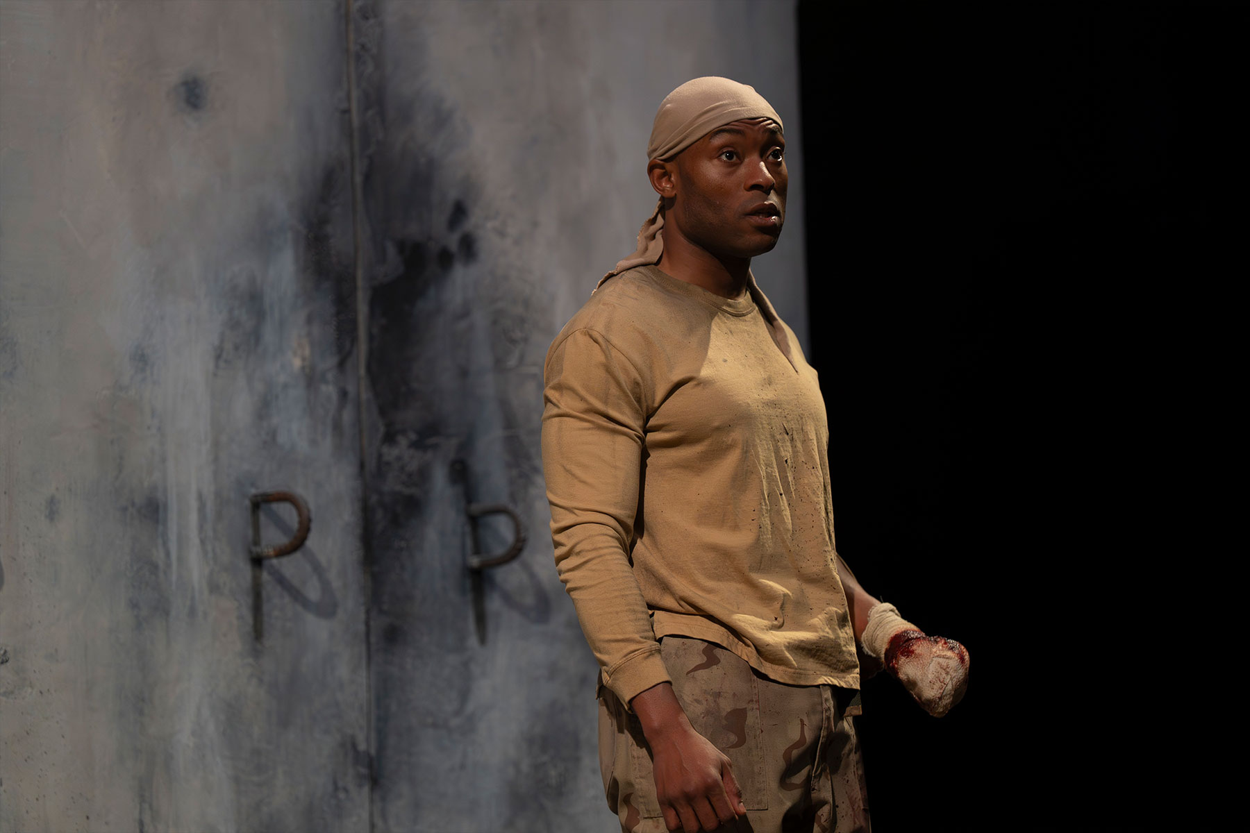 Bengal Tiger at the Baghdad Zoo – Young Vic review