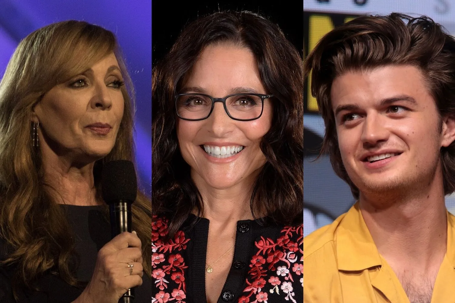 Julia Louis-Dreyfus, Joe Keery, Alison Janney, Ed Harris and Lily Rabe ...